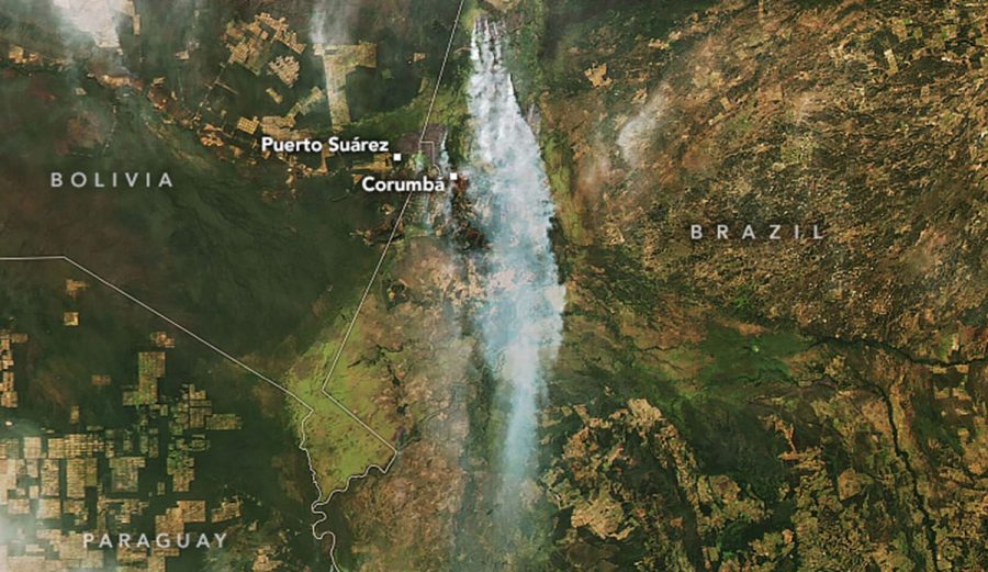 Brazil's Pantanal, the World's Largest Tropical Wetland \, Is Burning ...
