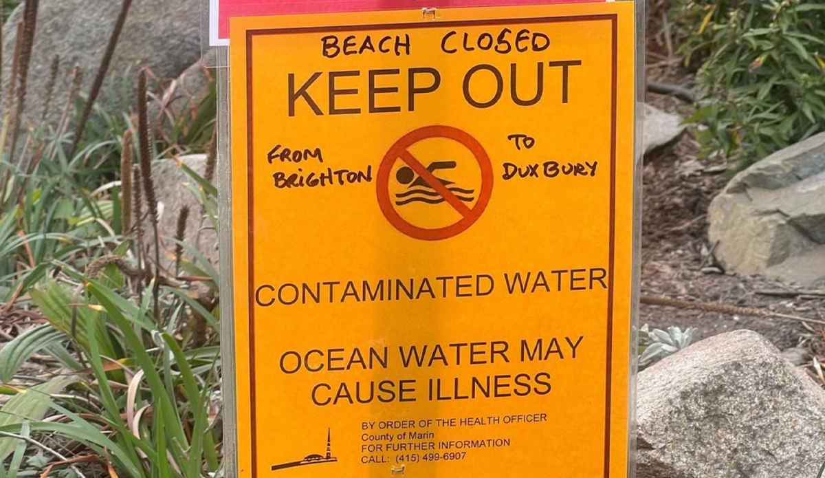 Bay Area Beach Closed After Sewage Found Leaking From Cliffs