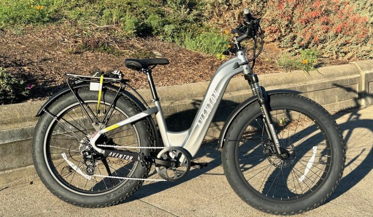 7 Best Fat-Tire Electric Bikes of 2024 | The Inertia Tested