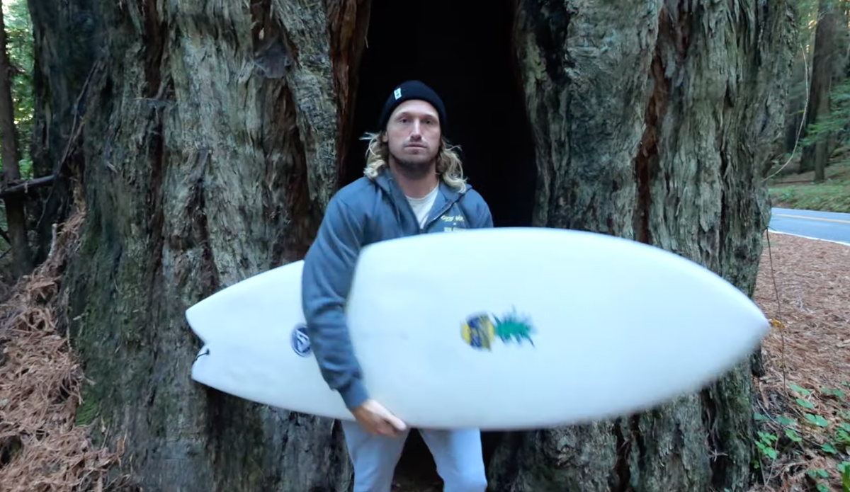 Ben Gravy Explores the Redwoods in a Tricked Out Camper Van
