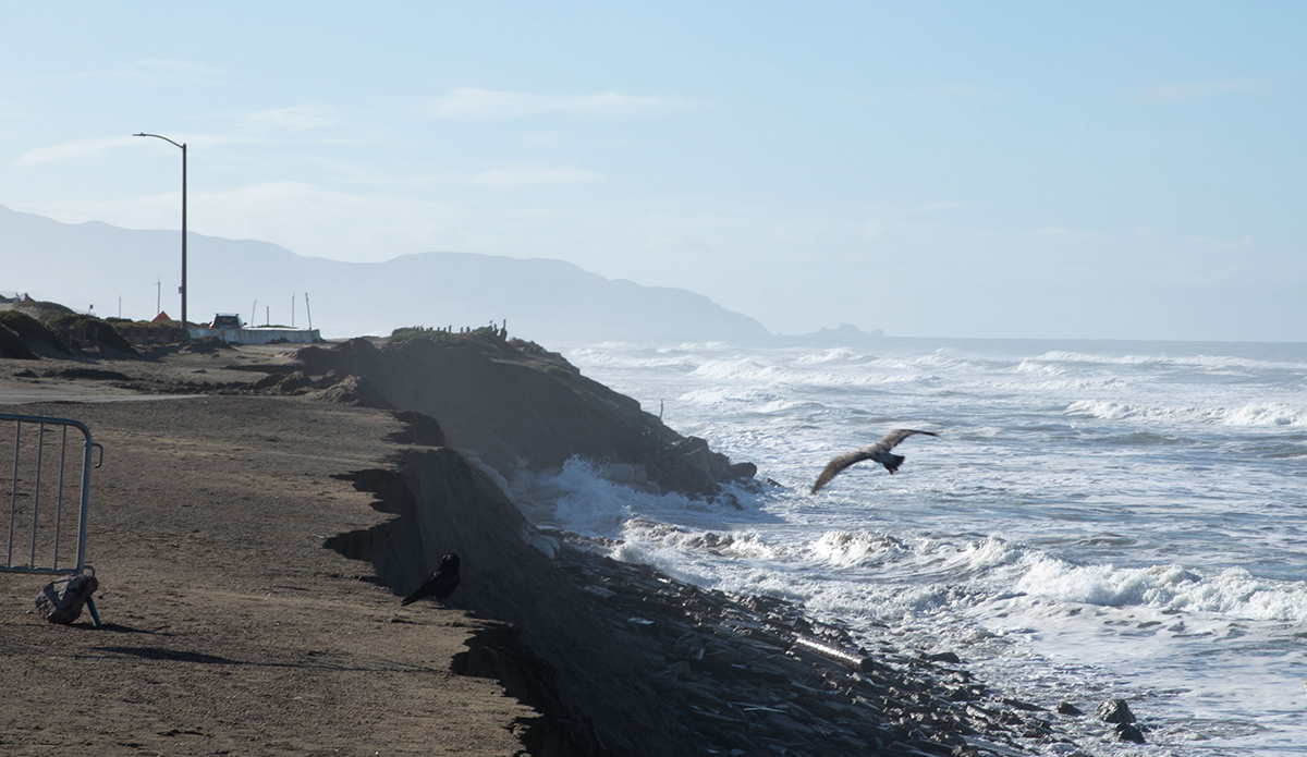 Coastal Commission Approves San Francisco Seawall Project Despite ...