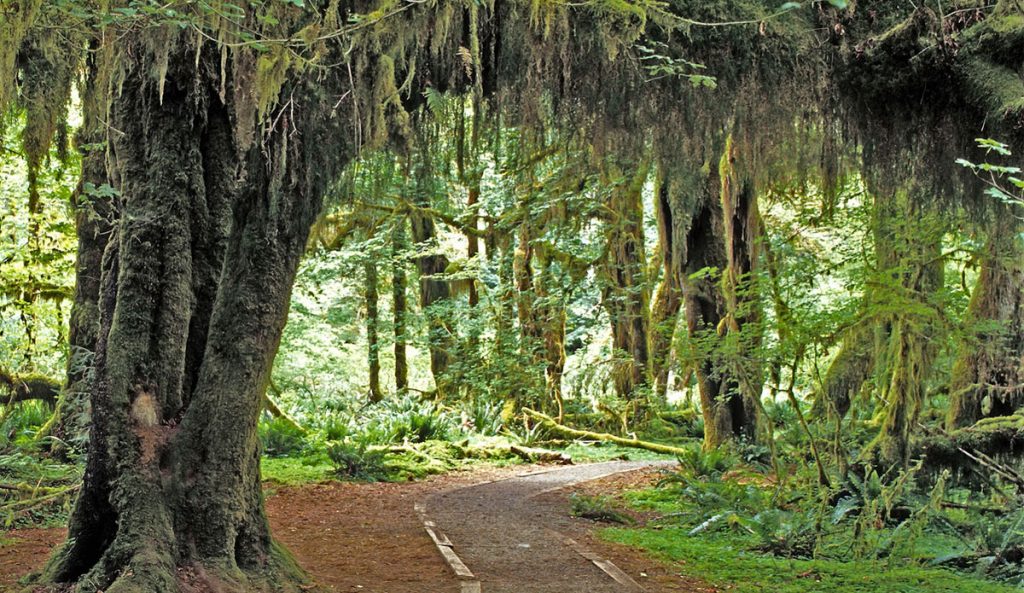7 Snow-Free Winter Hikes in the Seattle Area