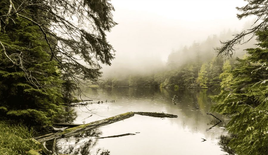 7 Snow-Free Winter Hikes in the Seattle Area