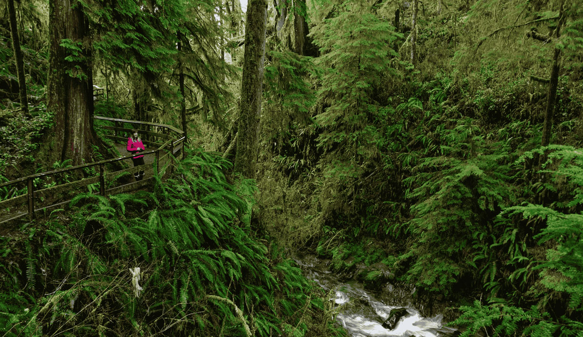 7 Snow-Free Winter Hikes in the Seattle Area