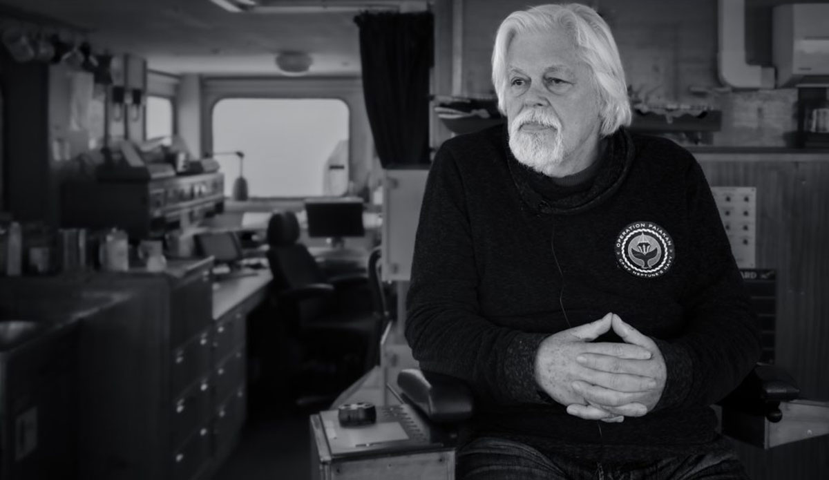 Captain Paul Watson, Anti-Whaling Activist, Free After 5 Months in ...