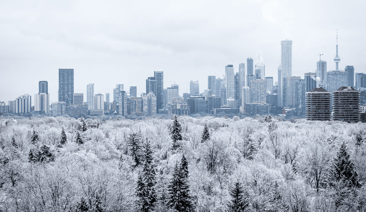 6 Ways to Enjoy Nature in the Heart of Toronto This Winter | The Inertia