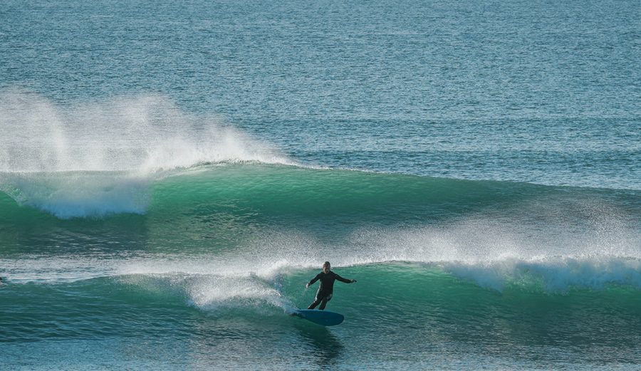 The Surf Hoot Heard Around the World (or…Just Inside My Head)