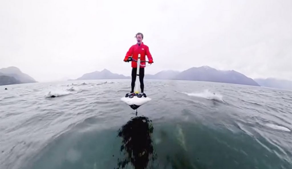 Over 100 Dolphins Joined This Hydroflyer Rider in B.C.'s Howe Sound