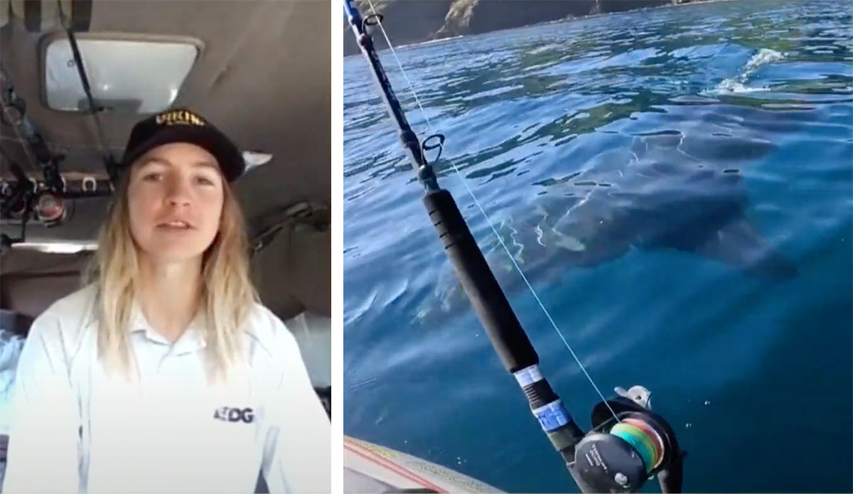 Kayak Fisherman Chased by Great White Shark Talks About His Terrifying ...