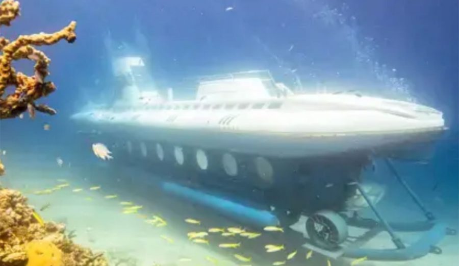 6 Dead After Tourist Submarine Sinks In the Egyptian Red Sea