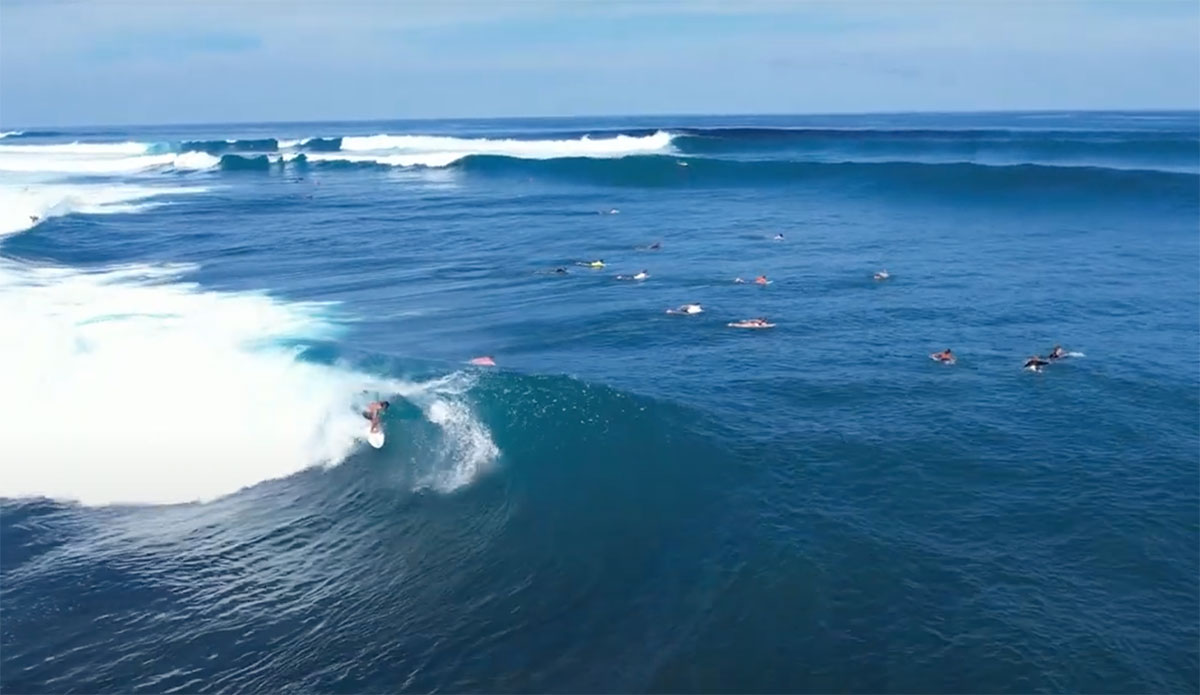 Waves You Can Surf 365 Days a Year, According to the Stats