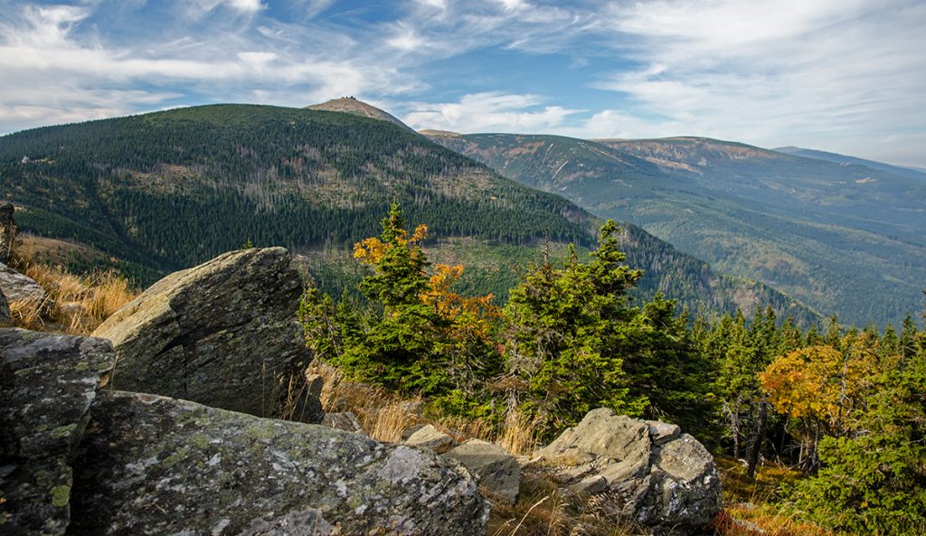 Two Hikers Found a Trove of Gold Coins Worth $340,000; They Turned It ...