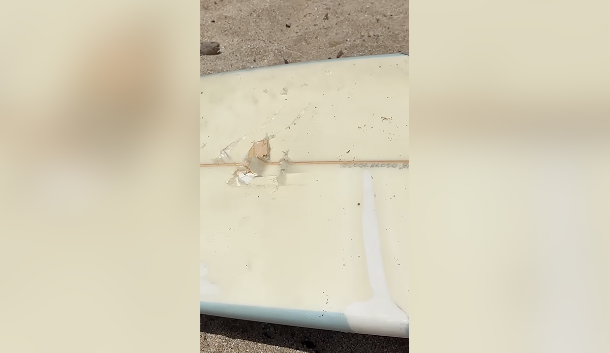 Montara Surfer Escapes Close Encounter With Shark