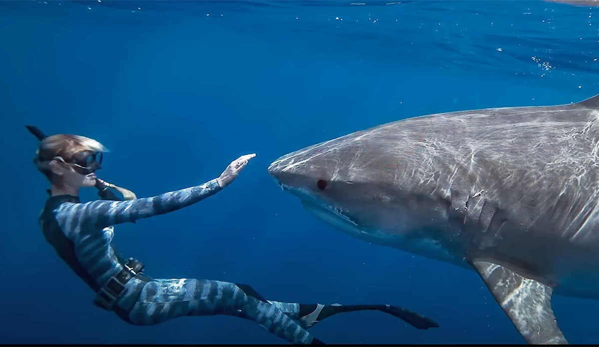Ocean Ramsey Is a Shark Whisperer In a New Netflix Documentary
