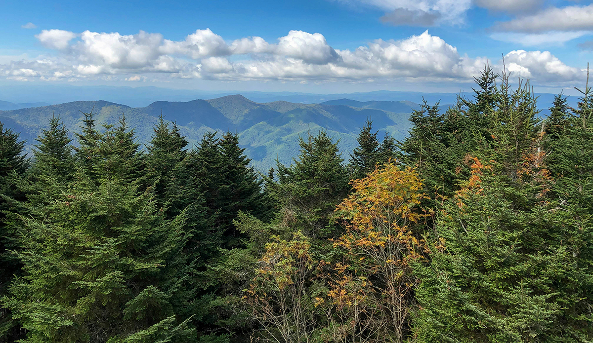 The Highest Point East of the Mississippi Reopens for Hiking After ...