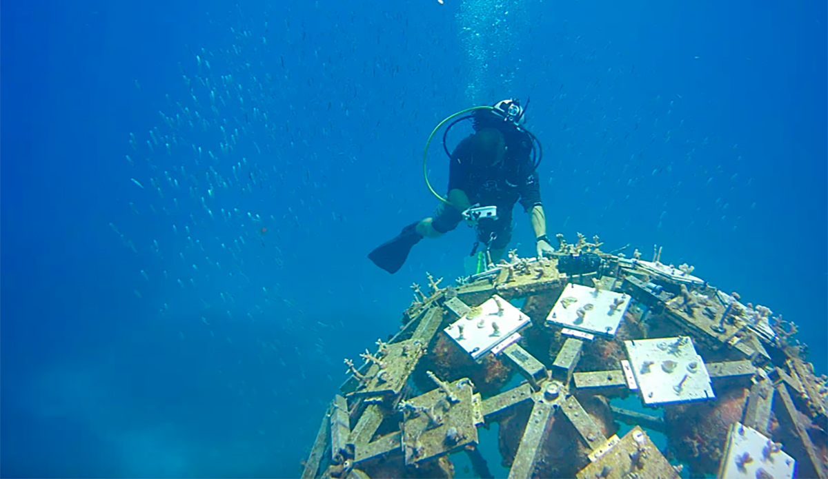 Are Floating Spheres the Answer to Saving Coral Reefs?