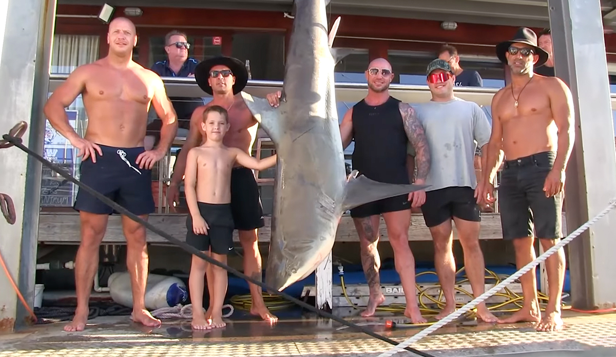 330-Pound Bull Shark Caught Near Site of Fatal Attack on Young ...