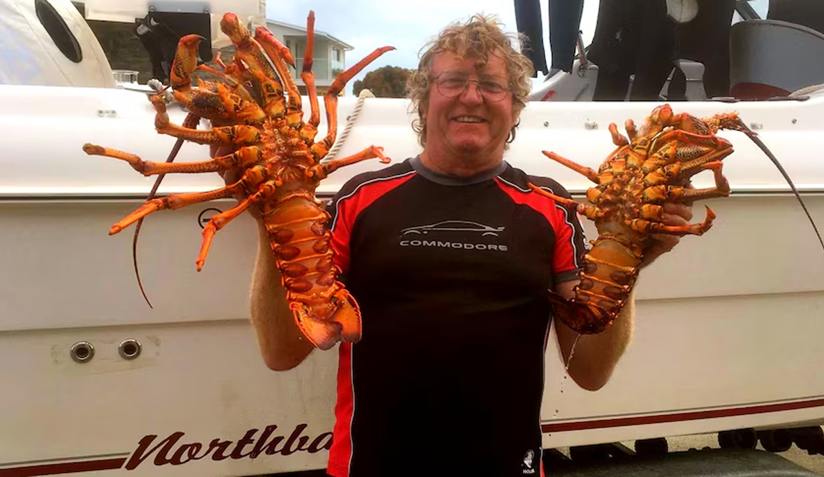 Lobster Fisherman Survives Being Dragged Along Ocean Floor by Shark