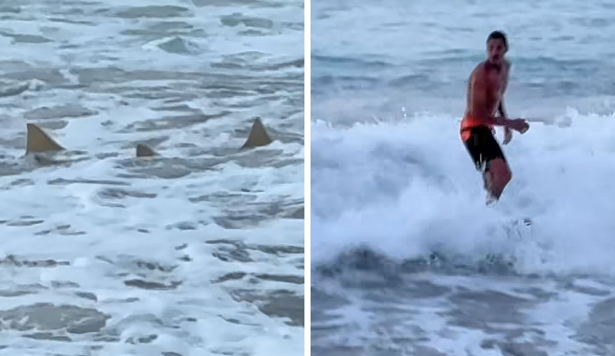 This Surfer Unknowingly Rode Over a Group of Sharks in Brazil
