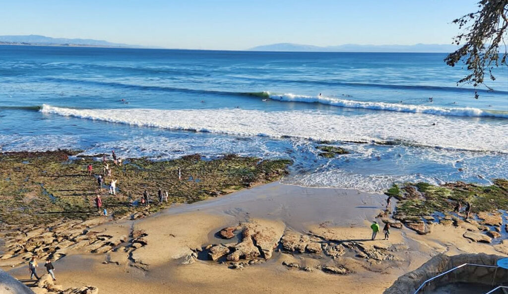 Santa Cruz Man Pleads Not Guilty to Alleged Surf Rage Stabbing