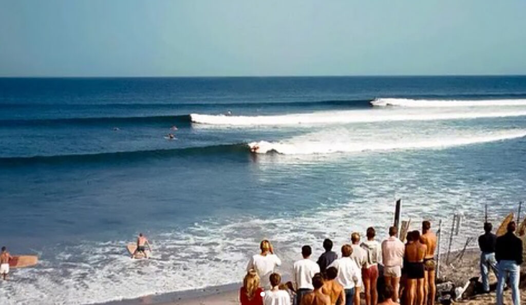 The ‘Encyclopedia of Surfing’ Lives On: Successful Fundraising Drive ...